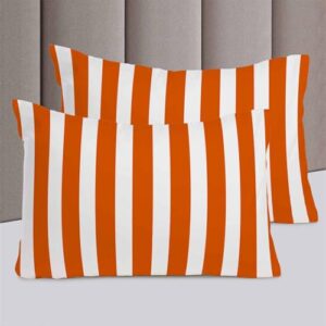 Lsrtoss Burnt Orange Striped Twin Duvet Cover Set for All Season, Thanksgiving Orange White Stripes Microfiber 3 Piece Bedding Set with 2 Pillowcases & 1 Quilt Cover, 68" W x 86" L, Twin Size