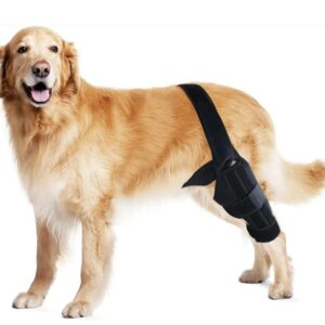 Dog Knee Brace for Torn ACL Hind Leg - Adjustable Leg Support for Hip Dysplasia, Dog Arthritis, Inflammation, Luxating Patella - Comfortable and Durable Dog Leg Braces for Back Leg - Black (Small)