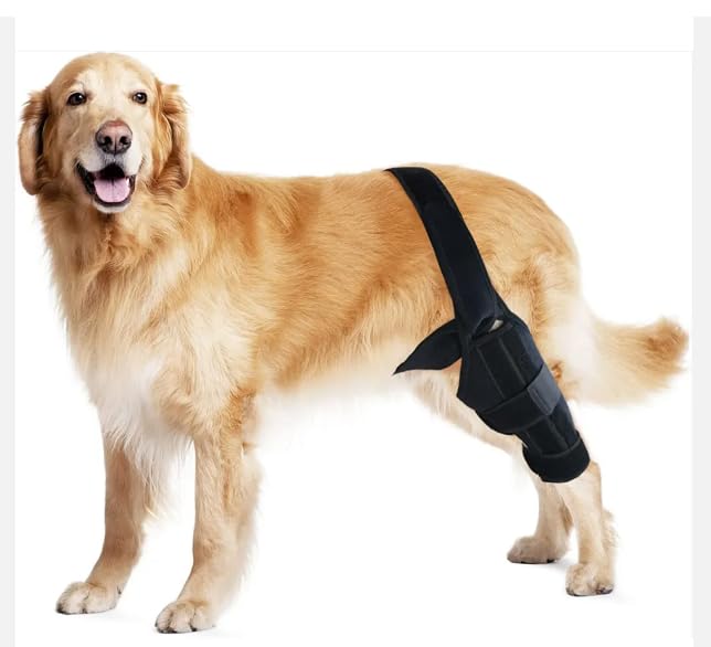 Dog Knee Brace for Torn ACL Hind Leg - Adjustable Leg Support for Hip Dysplasia, Dog Arthritis, Inflammation, Luxating Patella - Comfortable and Durable Dog Leg Braces for Back Leg - Black (Small)