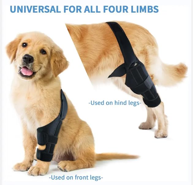 Dog Knee Brace for Torn ACL Hind Leg - Adjustable Leg Support for Hip Dysplasia, Dog Arthritis, Inflammation, Luxating Patella - Comfortable and Durable Dog Leg Braces for Back Leg - Black (Small)