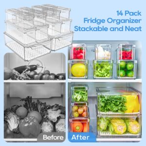 JollyPack 14 Pack Fridge Organizers, Refrigerator Organizer Bins with Lids, BPA Free Stackable Fruit Storage Containers for Fridge, Vegetables, Food and Drinks