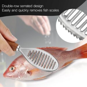 KULUNER Dual-Function Design Rosewood Solid Handle Stainless Steel Serrated Fish Scale Remover - Versatile Kitchen Tool for Fish Scaling and Food Grinding