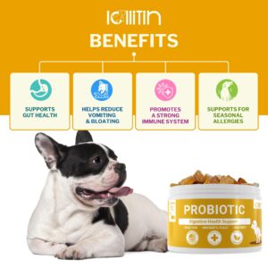 Lollitin Dog Supplement - Made in USA - All Natural - Dog Chews 120 Count - Dog Supplements for Small, Medium, Large Dogs, All Breeds (Probiotic)