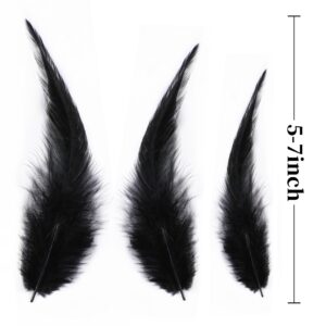 Holmgren Black Craft Feathers Bulk - 200pcs 5-7inch Rooster Feathers for DIY Crafts, Dream Catcher and Halloween Holiday Party Costume Decorations (Black)