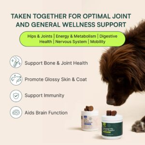 Wuffes Hip and Joint Supplement for Large Breeds and 23-in-1 Multivitamin Bundle