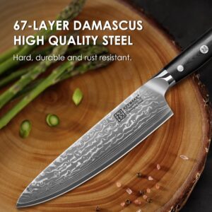 KEEMAKE Damascus Knife Set 3 PCS, Razor Sharp Kitchen Knife Set, 67 Layers Damascus Steel Knife, Japanese Chef Knife Set with Full Tang Ergonomic Handle, Kitchen Knives for Meat Vegetable Cutting