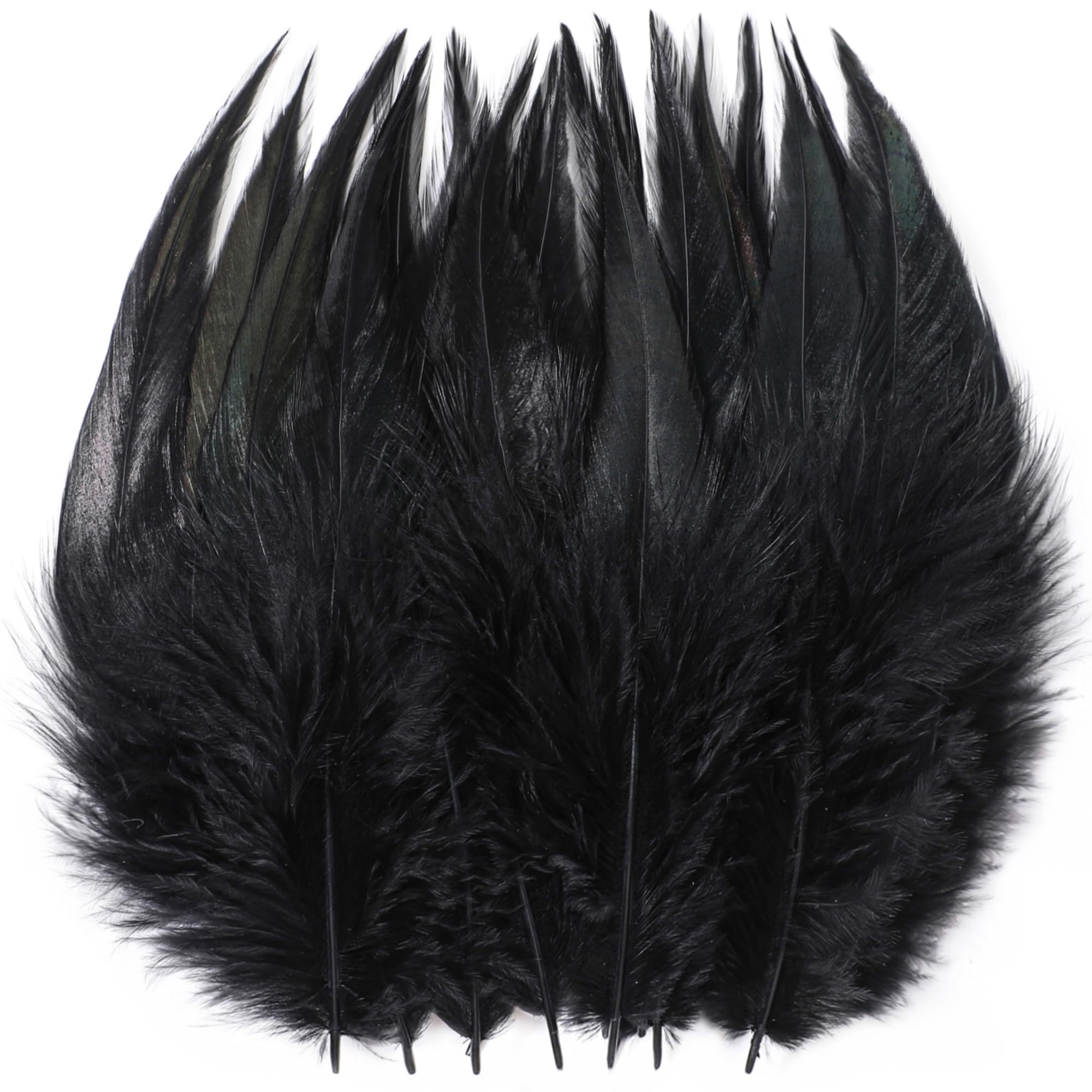 Holmgren Black Craft Feathers Bulk - 200pcs 5-7inch Rooster Feathers for DIY Crafts, Dream Catcher and Halloween Holiday Party Costume Decorations (Black)