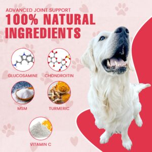 Ballo Pets Hip & Joint for Dogs - Joint Supplement for Dogs - Pain and Inflammation Relief with Glucosamine, Chondroitin, MSM, Turmeric, Vitamin C - 30 Powder Sticks to go, Red