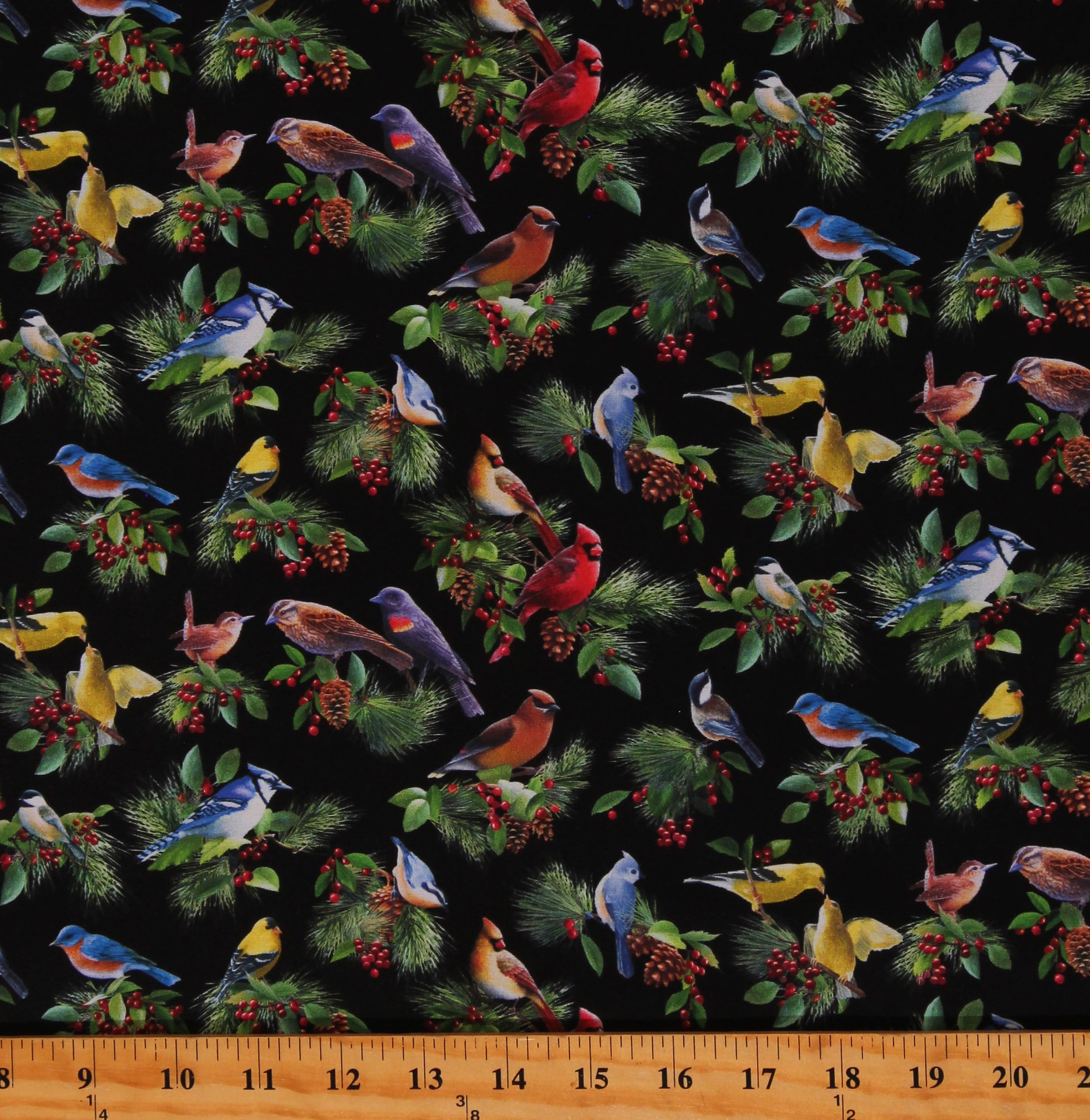 Elizabeth Studios Cotton Birds and Berries Animals Cardinals Pines Needles Cones Holly and Ivy Christmas Holiday Black Cotton Fabric Print by The Yard (40004BLACK)