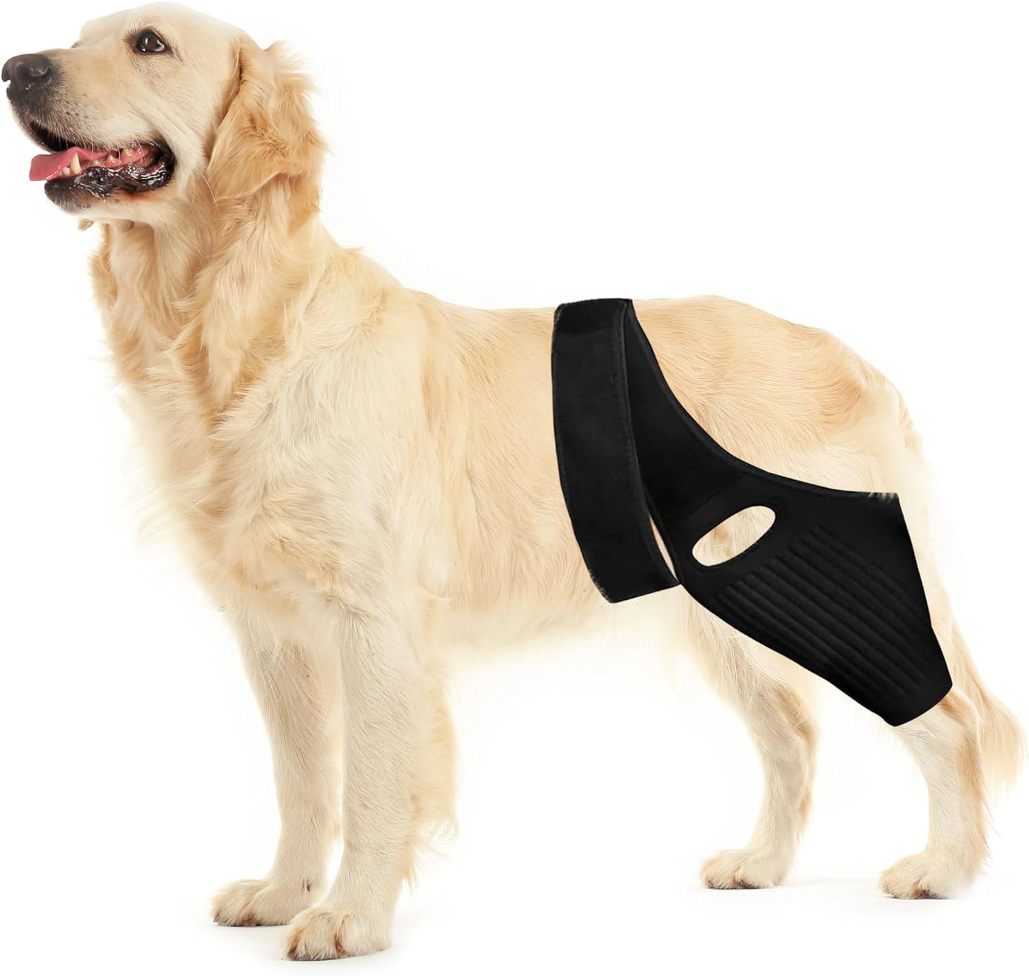 Huimpet Dog Hip Knee Leg Brace Dog ACL Brace for Front Torn and Back Hind Rear Legs ACL Tear, Dog Leg Brace for Hip Dysplasia, Dog Arthritis, Luxating Patella, Comfortable and Adjustable (L)