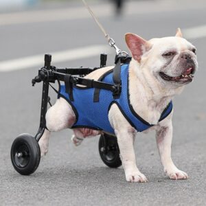 COCEQUC Dog Wheelchair for Back Legs,Adjustable Pets Cart with Wheels for Back Legs,Dog Leg Brace and Hip Support, Assist Small Pets with Paralyzed Hind Limbs to Recover Their Mobility