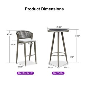 PURPLE LEAF 3 Pieces Outdoor Bar Height Table and Chairs Set Patio Bar Height Set for Balcony Porches Backyard Gray Round Patio High Bar Set