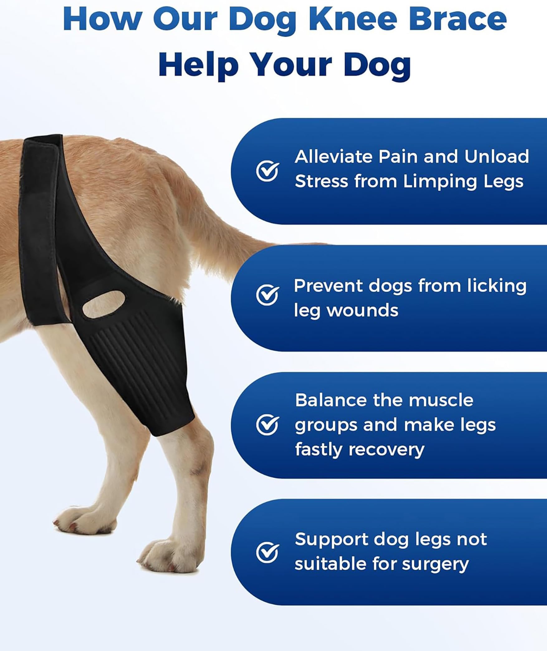 Huimpet Dog Hip Knee Leg Brace Dog ACL Brace for Front Torn and Back Hind Rear Legs ACL Tear, Dog Leg Brace for Hip Dysplasia, Dog Arthritis, Luxating Patella, Comfortable and Adjustable (L)