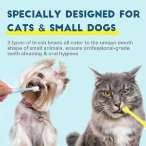 MoonyMars Cat Toothbrush Small Dog Tooth Brush, Tooth Brushing Kit with Micro Round & Pointed Head for Puppy, Kitten & Small Pet, Doggy Toothbrushes Dental Cleaning, Easy Handle, Soft Bristles, 5 PCS