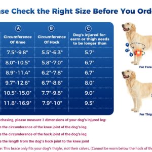 Huimpet Dog Hip Knee Leg Brace Dog ACL Brace for Front Torn and Back Hind Rear Legs ACL Tear, Dog Leg Brace for Hip Dysplasia, Dog Arthritis, Luxating Patella, Comfortable and Adjustable (L)