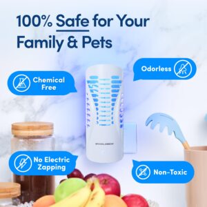 Shieldeck Mosquito Trap Indoor, Indoor Bug Zapper Plug in, Bug Light Trap Indoor Plug in, Bug Catcher Mosquito Killer Indoors (1 Device + 5 Refills)