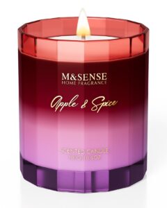 m&sense apple spice soy candles for home scented 10.6oz 60 hour long lasting slow burning, organic natural christmas candle highly scented winter holiday fragrance gift for women men