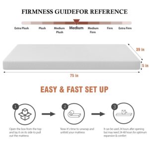 Twin Mattress 5 inch Memory Foam Mattress with CertiPUR-US Certified for Cool Sleep & Pressure Relief, Medium Firm Bed Mattress with Washable Cover, White, Twin Size,Twin Mattress for Bunk Bed