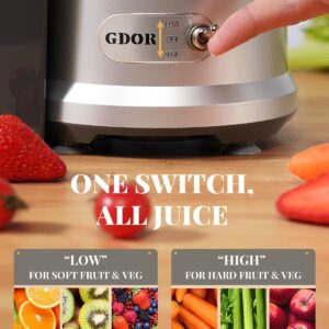 GDOR Powerful 1200W Juicer with Larger 3.2" Feed Chute, Titanium Enhanced Cutting System, Centrifugal Juice Extractor Maker with Heavy Duty Full Copper Motor, Dual Speeds, BPA-Free, Silver