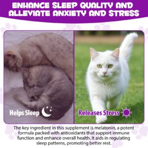 ARMOYA Cat Melatonin - Melatonin for Cats - Cat Calming Treats- Cat Sedative for Grooming - Helps to Support Restful Sleep for Your Cat - Cat Sleep Aid - Anxiety Relief for Cats