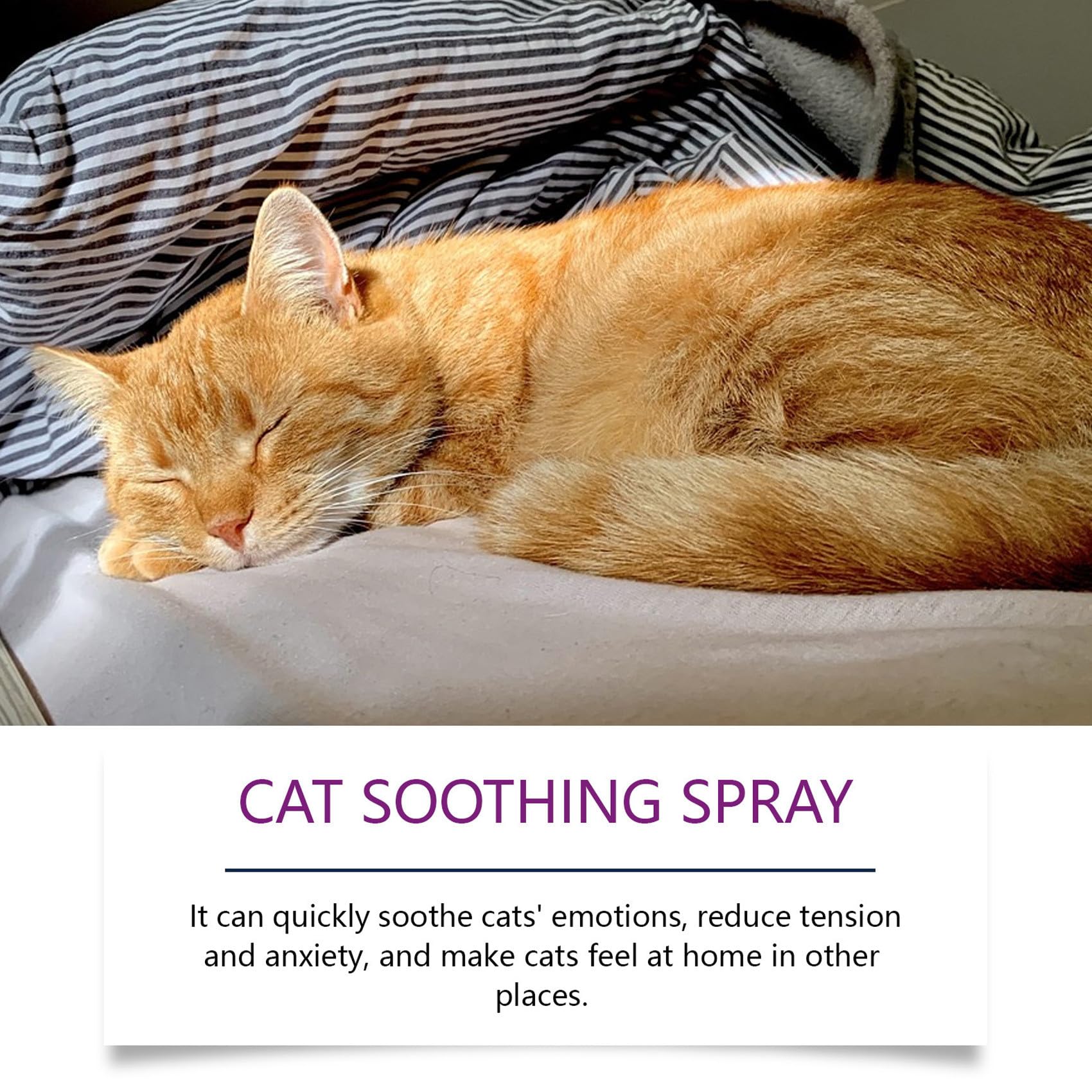 Cat Deterrent Spray, Cat Scratch Spray,Cat Deterrent Spray for Furniture, Reduces Scratching Furniture, Peeing, Helps Marking Anxiety