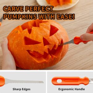 RVXHUA 10PCS Pumpkin Carving Kit, Professional Halloween Decoration Set, Stainless Steel Tools with Carrying Bag, Jack-o'-lantern Knife Kit for Kids, Adults, and Family DIY Gift