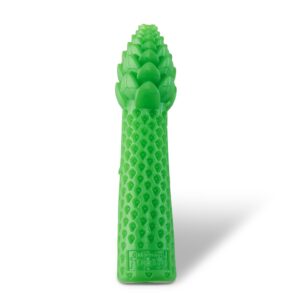 outward hound dental asparagus treat-dispensing dental dog chew toy, medium, green