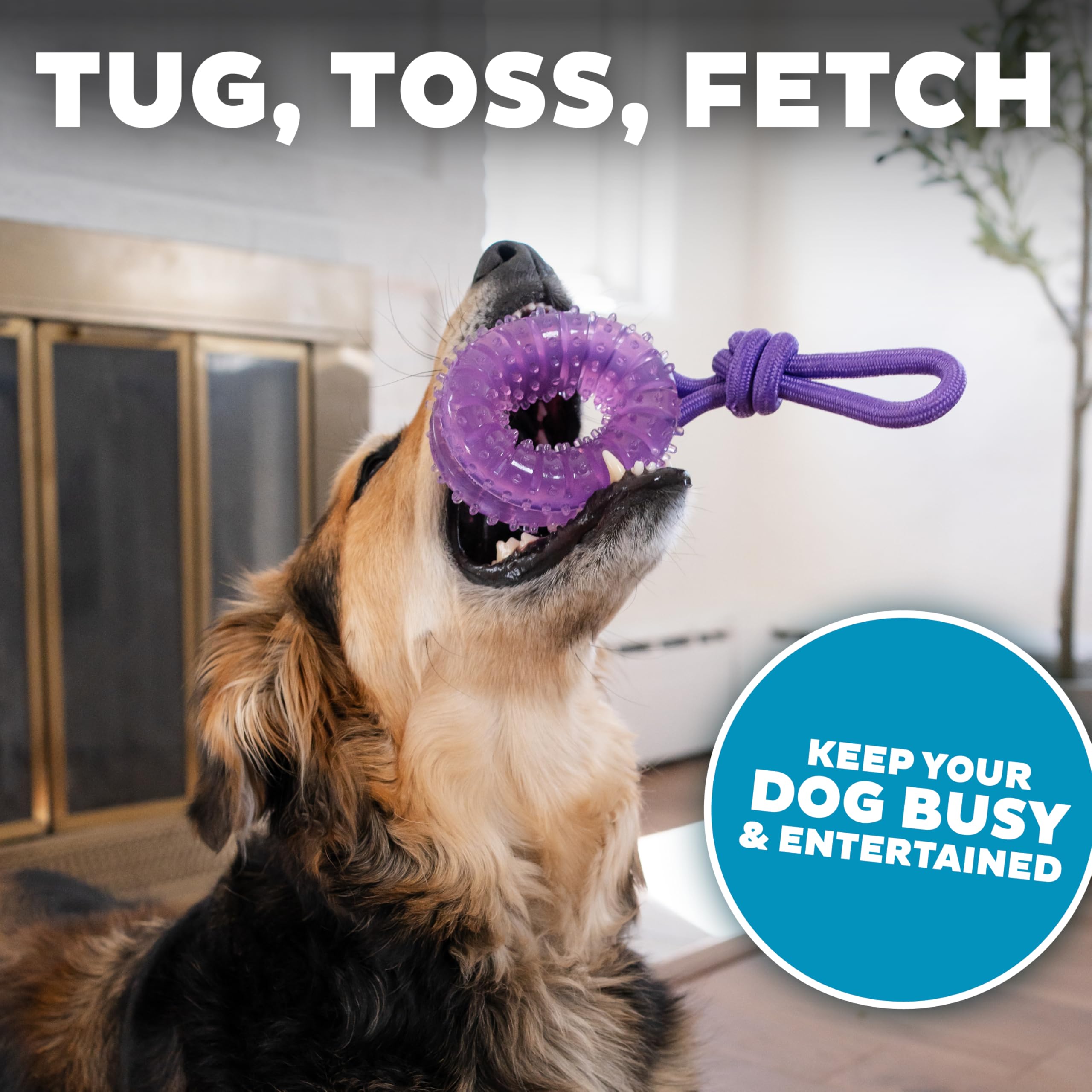 Outward Hound 2-in-1 Dental Chew Wheel Dog Chew Toy and Tug Toy, Purple