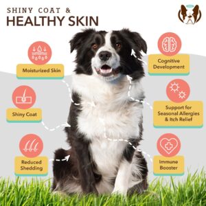 Natural Dog Company Dog Skin and Coat Supplement Chews 2-Pack Bundle, Omega-3 Chews for Dogs, Itchy Skin Relief, Promotes Healthy Coat, Dog Vitamins & Supplement, Antioxidants, Large Breed Dogs