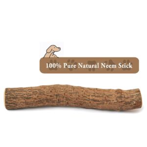 aiminto Neem Stick for Dog Chew, 100% Organic, Natural Toothpaste, Teething, Dental Care, (Large Dog >44LBs, Pack of 3 Pieces)