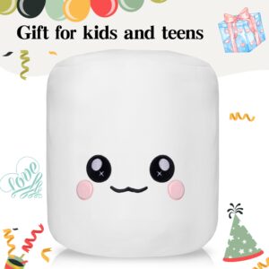 GHNEIFER Kids Toys Marshmellow Pillow for Kids and Teens Kids Room Decor Super Soft Hugging (size15.8 X11.8 X11.8 inchs)