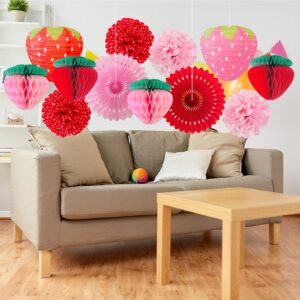 Strawberry Party Decorations Strawberry Hanging Banner Red Pink Tissue Pom Poms Fans Honeycomb Balls Lanterns for Berry Sweet Fruits 1st Birthday Bridal Baby Shower Decorations Supplies