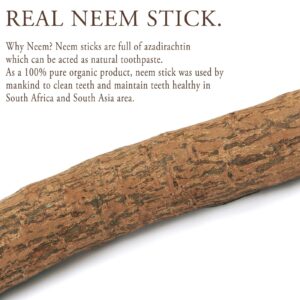 aiminto Neem Stick for Dog Chew, 100% Organic, Natural Toothpaste, Teething, Dental Care, (Large Dog >44LBs, Pack of 3 Pieces)