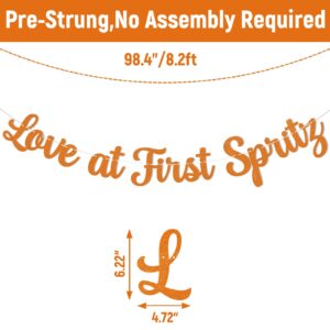 Love at First Spritz Banner, Aperol Spritz Bridal Shower Party Decorations, Love At First Spritz Decorations, Orange Girls Bridal Brunch Couple Shower Bachelorette Party Decor