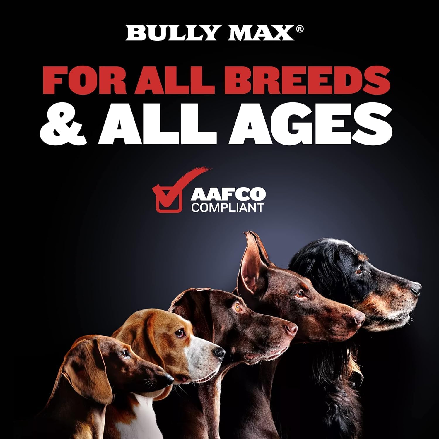 Bully Max 24/14 High Protein Puppy Food 5-Pound Bag & 2-in-1 Muscle Builder 60 Chewable Tabs Bundle - Fuels Growth & Supports Peak Performance for Small Dogs and Large Breed Dogs