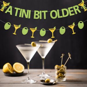 Gankbite Martini Bachelorette Party Decoration A Tini Bit Older Banner Birthday Bridal Shower Theme Garland