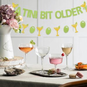 Gankbite Martini Bachelorette Party Decoration A Tini Bit Older Banner Birthday Bridal Shower Theme Garland