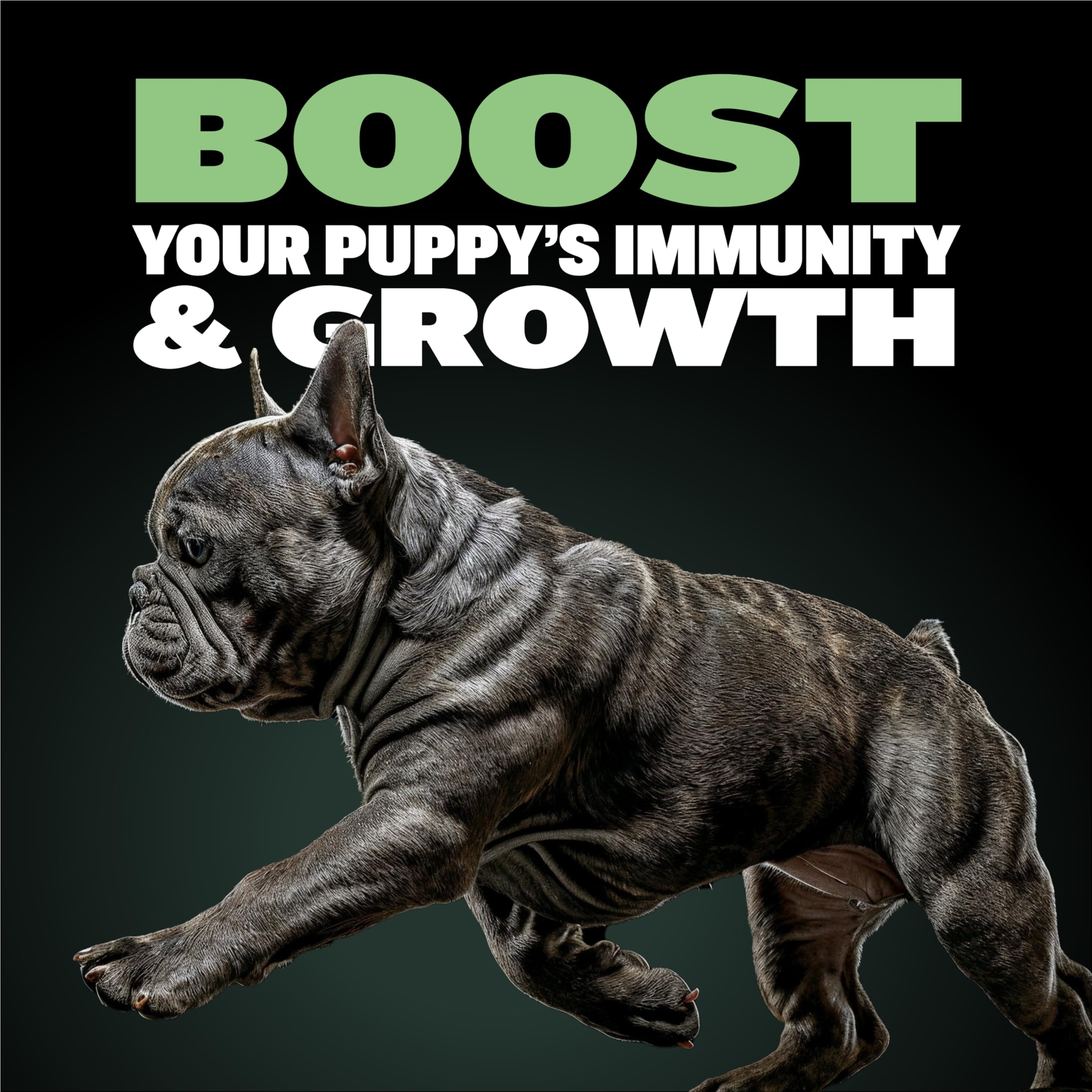 Bully Max 24/14 High Protein Puppy Food 5-Pound Bag & 2-in-1 Muscle Builder 60 Chewable Tabs Bundle - Fuels Growth & Supports Peak Performance for Small Dogs and Large Breed Dogs