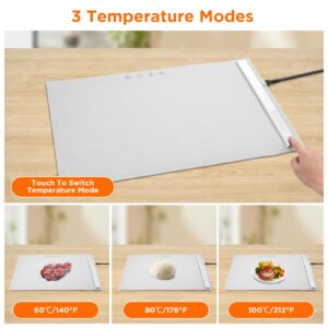 Portable Food Warmers,Electric Warming Tray Hot Tray Heating Mat Food Warmer Heating Pad Keep Foods Warming for Gatherings,Parties, Auto Shut-Off