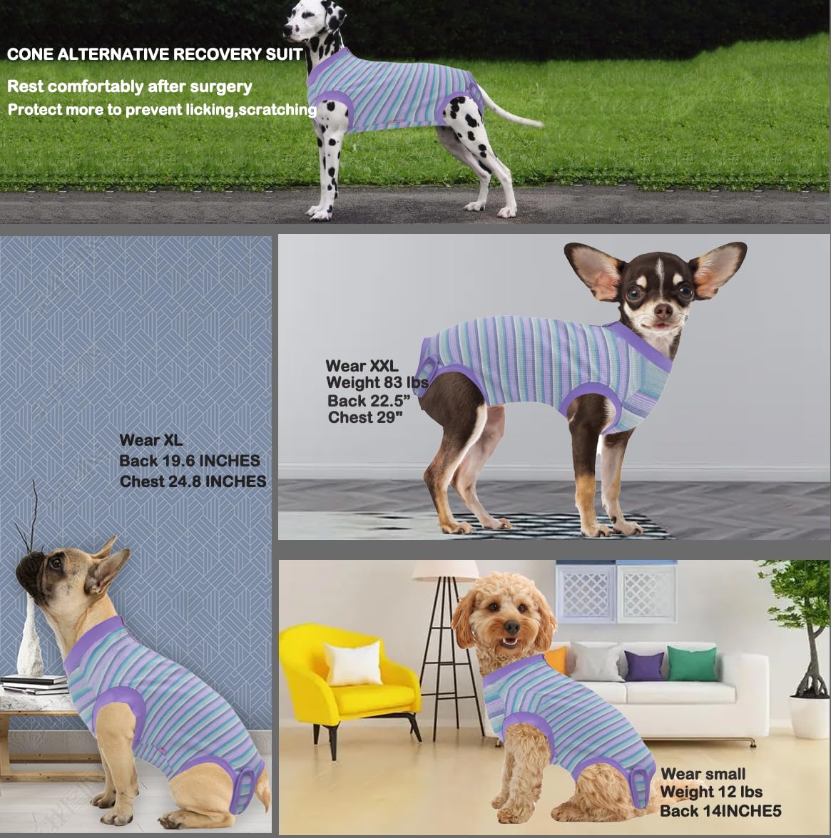 Wabdhally Dog Surgery Recovery Suit,Surgical Recovery Female Spay Suit for Large Dogs Cats,Surgery Recovery Multi Purple Onesie L