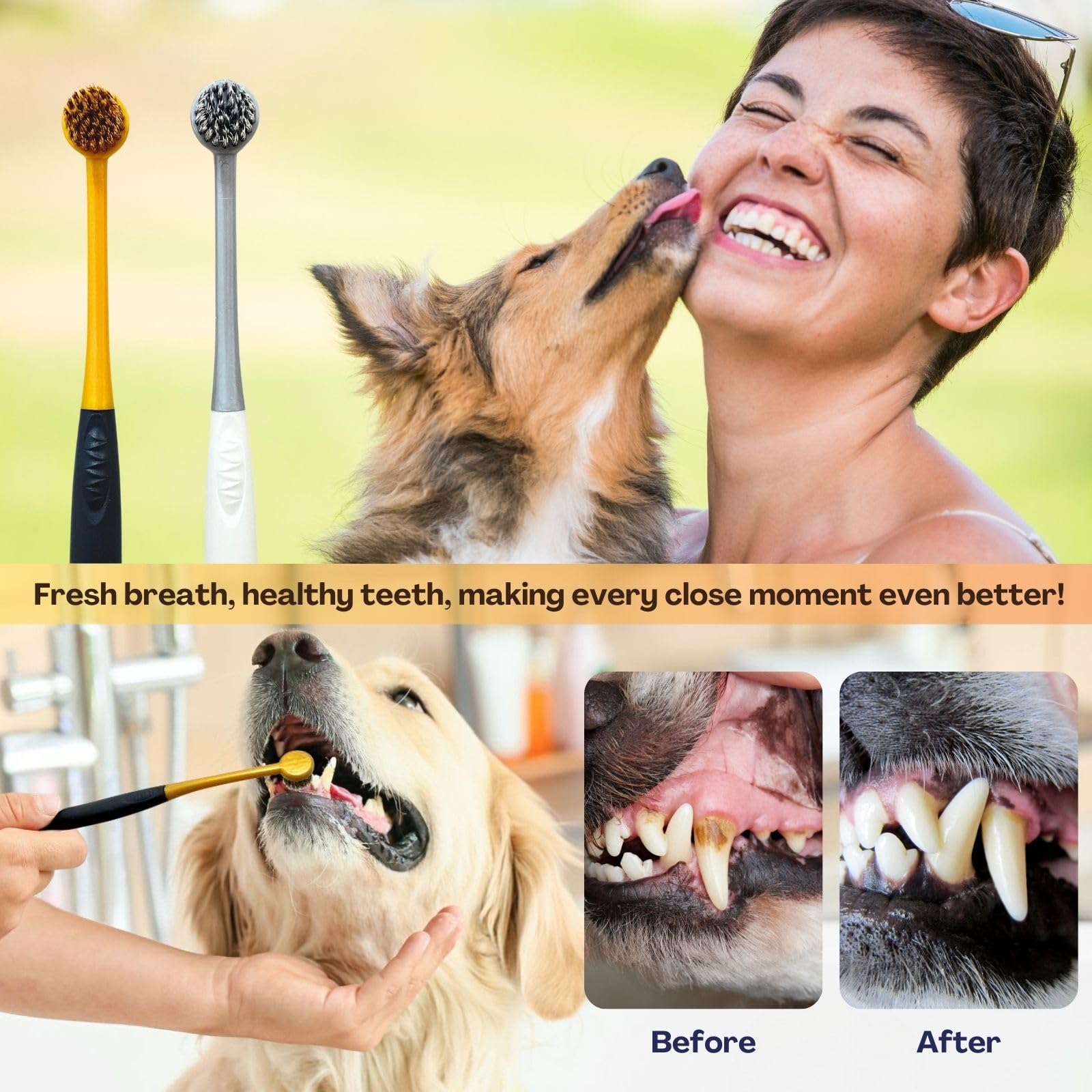 Pilopgaso Dog Toothbrush 4Pack Round Head Dog Tooth Brush Kit, Toothbrush for Dogs Soft Pet Toothbrush for Sensitive Teeth Small Dog Toothbrush mit Anti-Slip Rubber Handle for Pet Plaque Dental Care