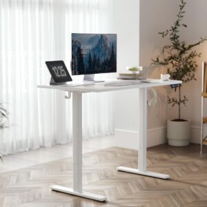 Seang Electric Standing Desk with Adjustable Height, 48x24 Inch Stand Up Desk, Sit Stand Desk with Splice Board for Home Office Computer Workstation, White Frame/White Top