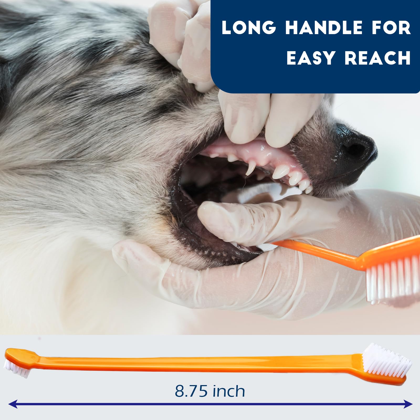 MoonyMars 300 Pcs Dog Toothbrush Cat Tooth Brushes Bulk, Double Sided Brushing Kit, Teeth Cleaning Kit Soft Bristles Long Handle, Pet Tooth Brush for Small to Large Dog, Cat, Puppy & Kitten, 10 Colors