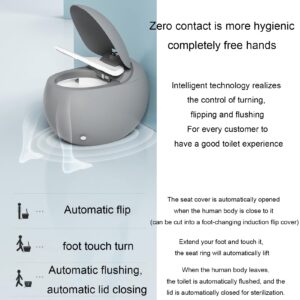 Smart Voice Toilet, One Piece Egg Bidet Toilet Seat, Ceramic Toilet With Heated Built-in Tank Design, Auto Smart Toilet With Warm Water Sprayer & Dryer (Grey 300mm)