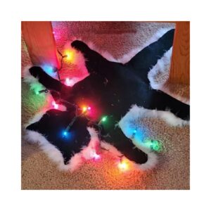 generic funny christmas rugs light up fried cat rug decor national lampoon christmas vacation village decorations xmas gifts for family,light up fried cat rug (colorful)