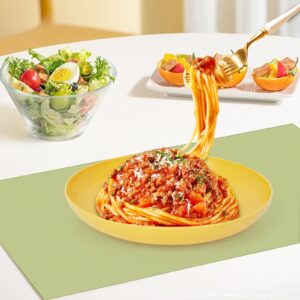 Benestanti Wheat Straw Plates - 10 Inch Unbreakable Dinner Plates Set of 8- Dishwasher & Microwave Safe Plastic Plates Reusable - Lightweight Plates for kitchen,camping (Colorful Series)