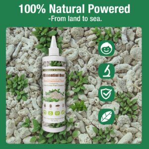 EcoVenger DEssential Dust, Kills Bed Bug, Roaches, Ants, Fleas, Crawling Insect Repellent, Food Grade Diatomaceous Earth Micro-Powder Triple Powered Peppermint/Lemongrass/Eucalyptus