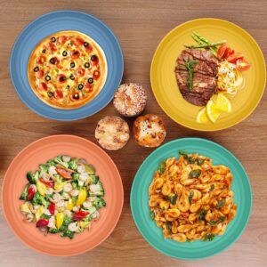 Benestanti Wheat Straw Plates - 10 Inch Unbreakable Dinner Plates Set of 8- Dishwasher & Microwave Safe Plastic Plates Reusable - Lightweight Plates for kitchen,camping (Colorful Series)