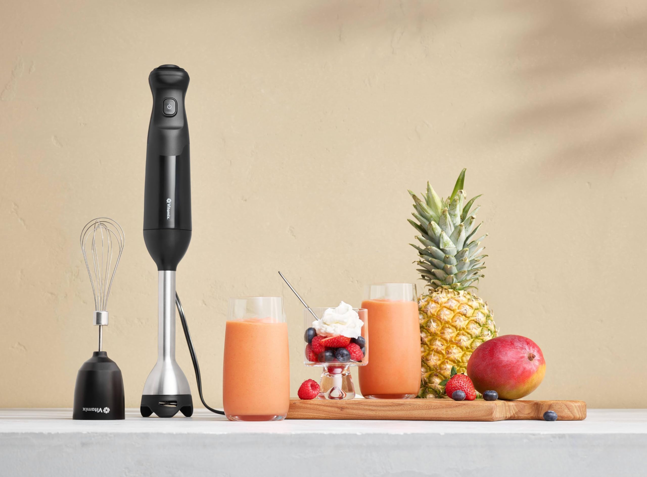 Vitamix 2-Speed Immersion Blender + Whisk, Black