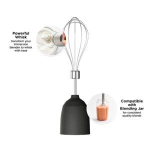 Vitamix 2-Speed Immersion Blender + Whisk, Black